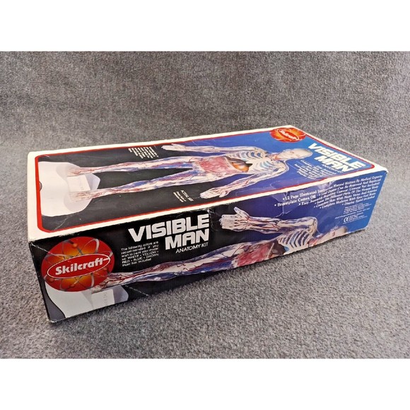Toys | Vintage Skilcraft Visible Man Anatomy Model Kit Open Box W ...